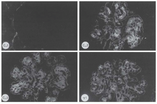 C60-FF13.gif | Abdominal Key