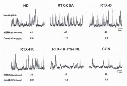 C78-FF6.gif | Abdominal Key