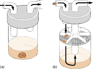 c7-fig-0007.jpg | Abdominal Key