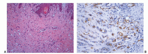 C14-FF67.gif | Abdominal Key