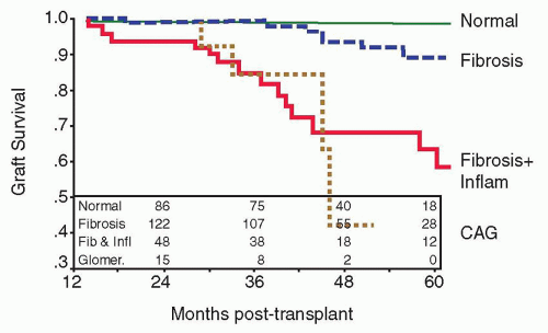 C29-FF66.gif | Abdominal Key