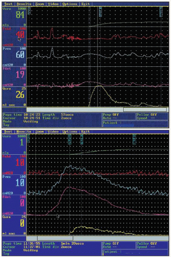 C3-FF40.gif | Abdominal Key