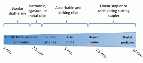 C31-FF6.gif | Abdominal Key