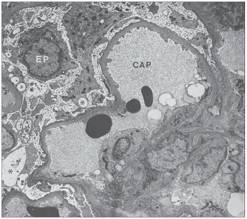 C5-FF10.gif | Abdominal Key