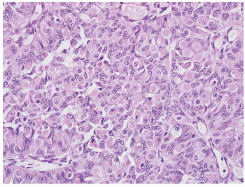 C6-FF109.gif | Abdominal Key