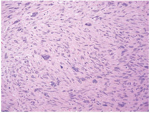 C6-FF157.gif | Abdominal Key