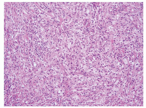 C7-FF20.gif | Abdominal Key