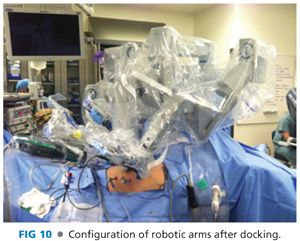 image01022.jpeg | Abdominal Key