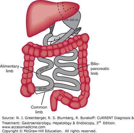 m_gre_ch19_f003.png | Abdominal Key