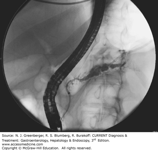 m_gre_ch36_f009.png | Abdominal Key
