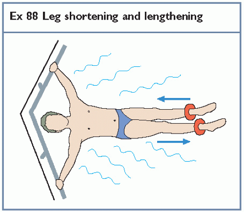 C15-FF5.gif | Abdominal Key