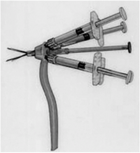 C15-FF6.gif | Abdominal Key