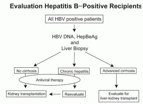 C3-FF3.gif | Abdominal Key