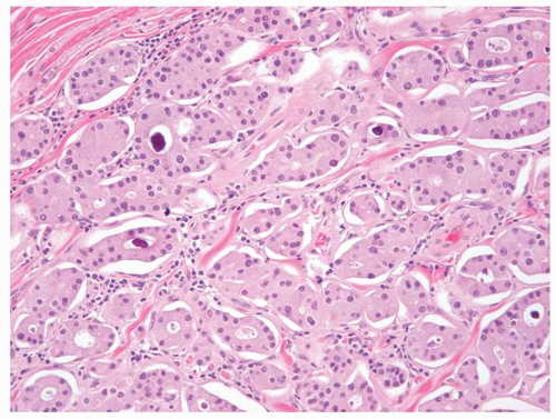 C5-FF12.gif | Abdominal Key