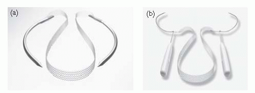 C5-FF2.gif | Abdominal Key