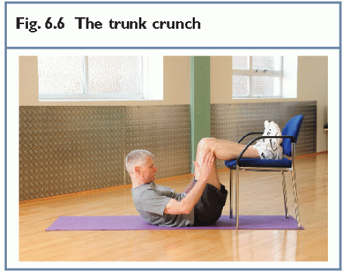 C6-FF6.gif | Abdominal Key