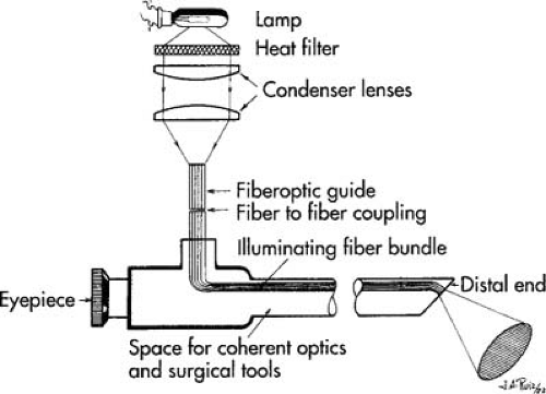 DA2C9FF10.gif | Abdominal Key