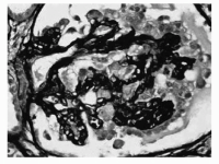 DA7-Review_Questions-MMU1.gif | Abdominal Key