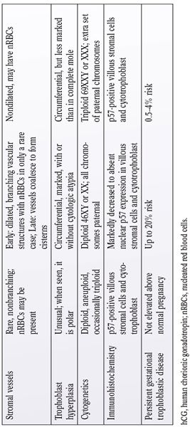 image00632.jpeg | Abdominal Key