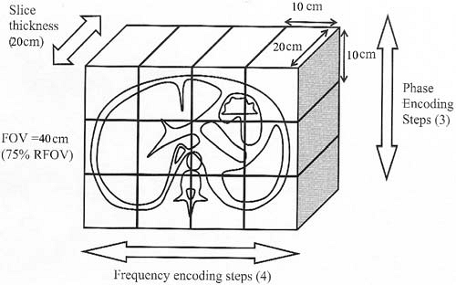 C1-2-FF3.gif | Abdominal Key