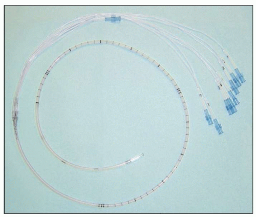 C2-FF26.gif | Abdominal Key