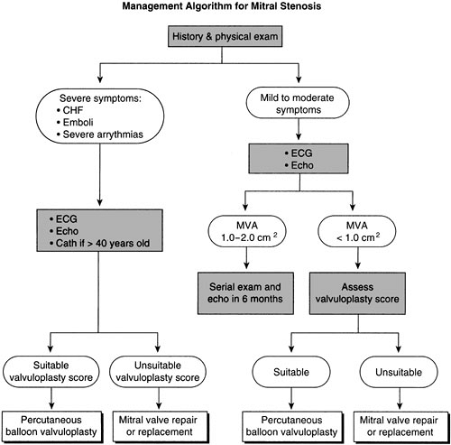 C25-FF3.gif | Abdominal Key