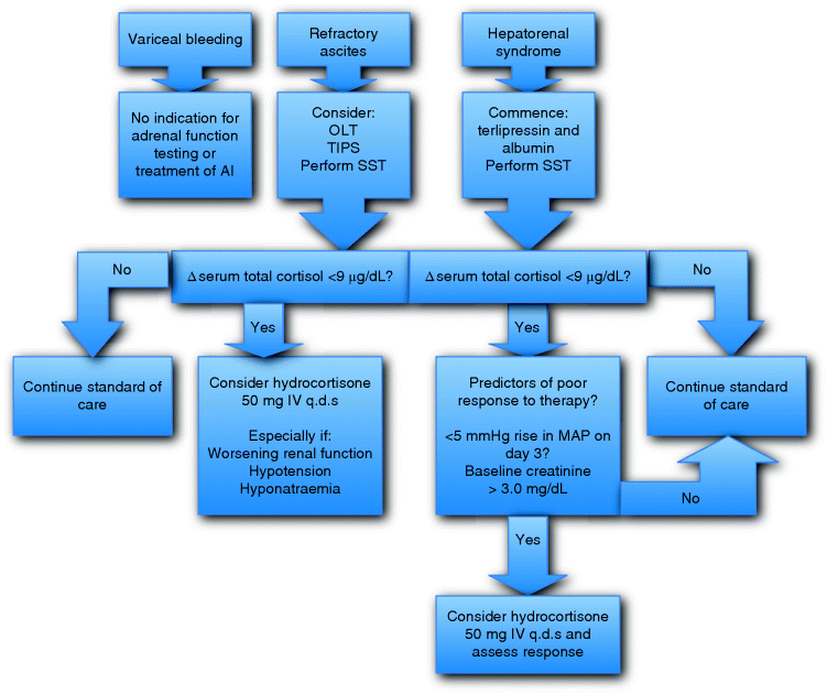 n21f003.gif | Abdominal Key