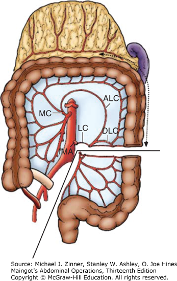 m_zinner_ch15_f005.png | Abdominal Key
