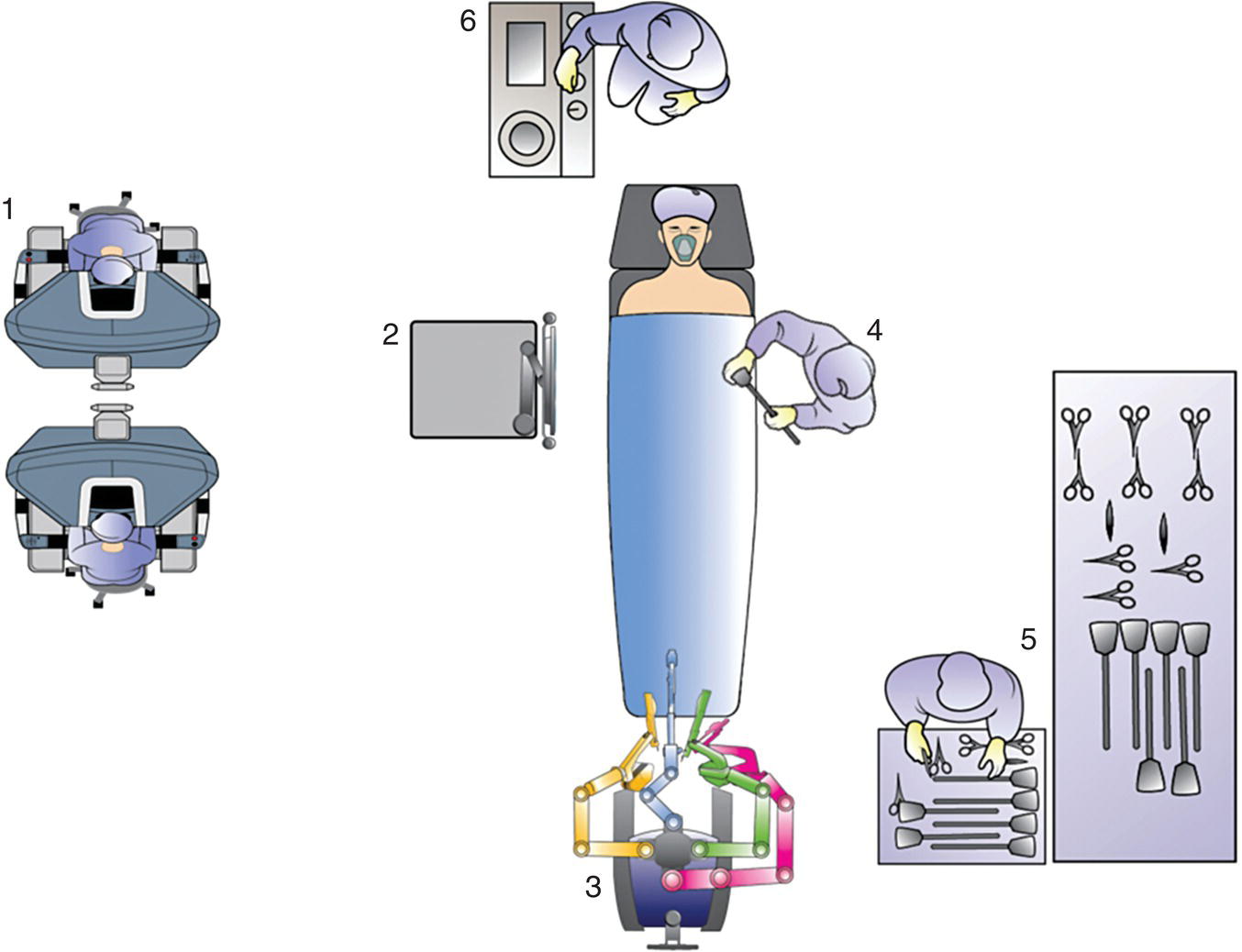 c77f006.jpg | Abdominal Key