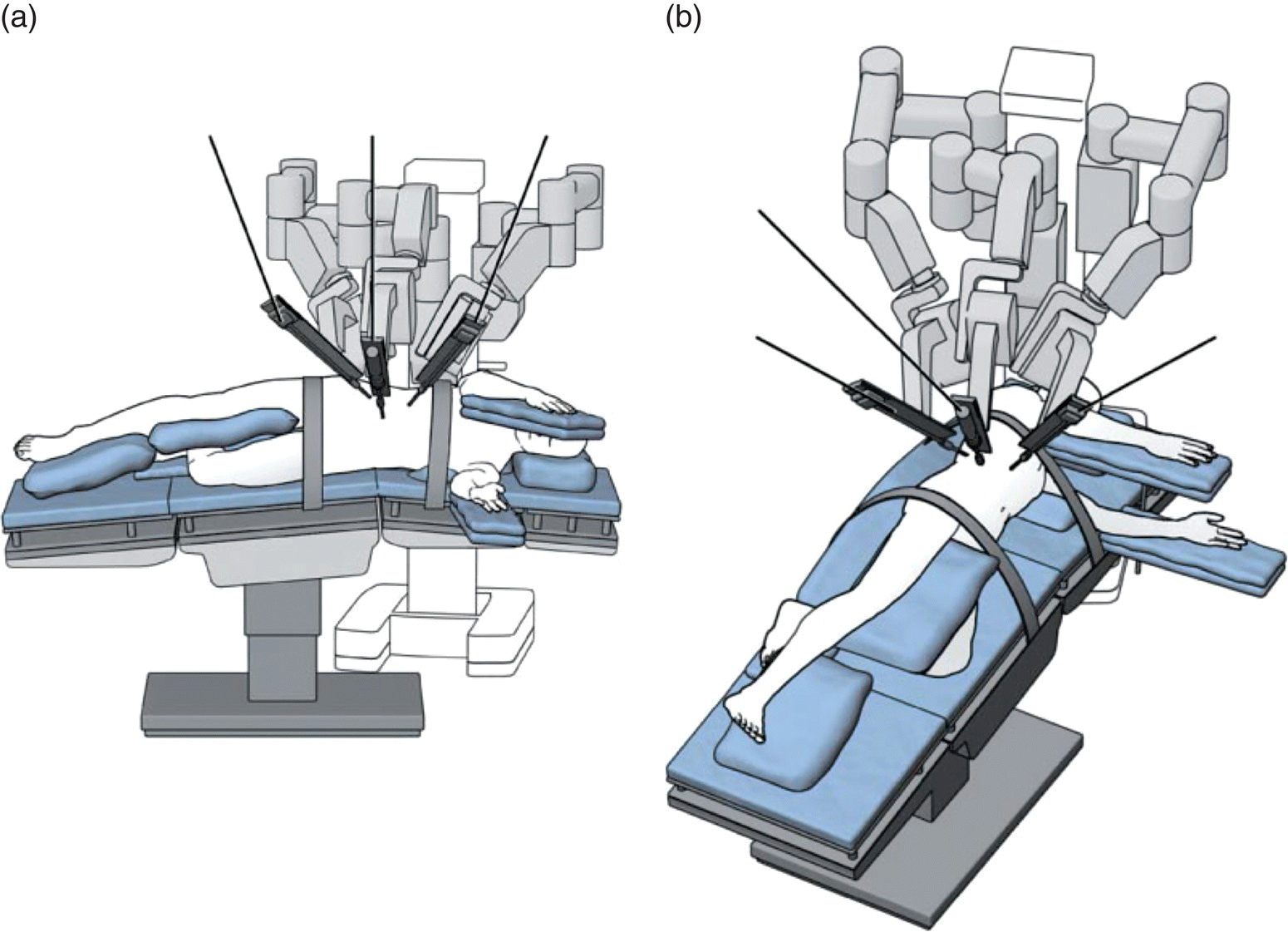 c92f004.gif | Abdominal Key